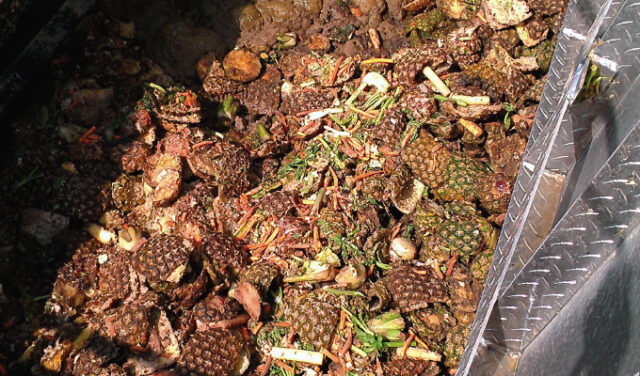 Generating Renewable Energy from Waste | Modern Pumping Today